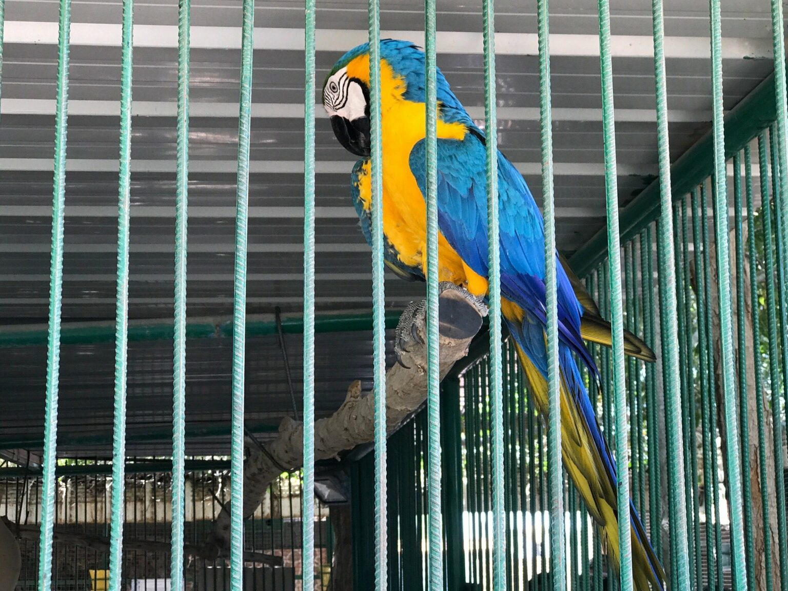 Barka Zoo: An Naman Park in Oman has 5 amazing ameneties. - Shukran Oman