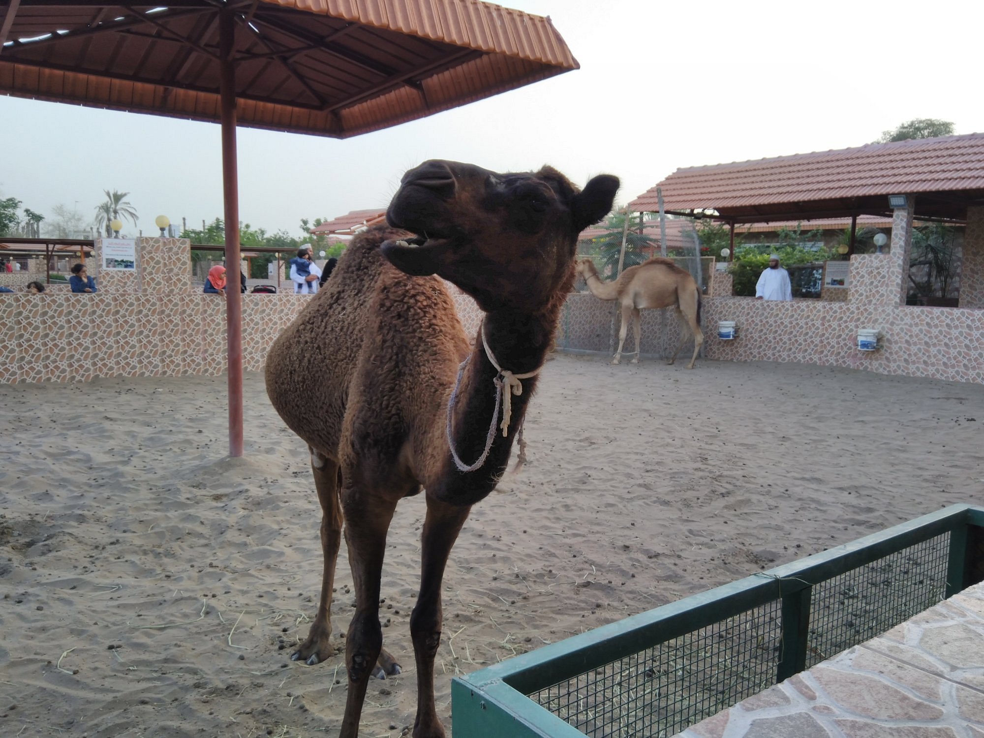 Barka Zoo: An Naman Park in Oman has 5 amazing ameneties. - Shukran Oman